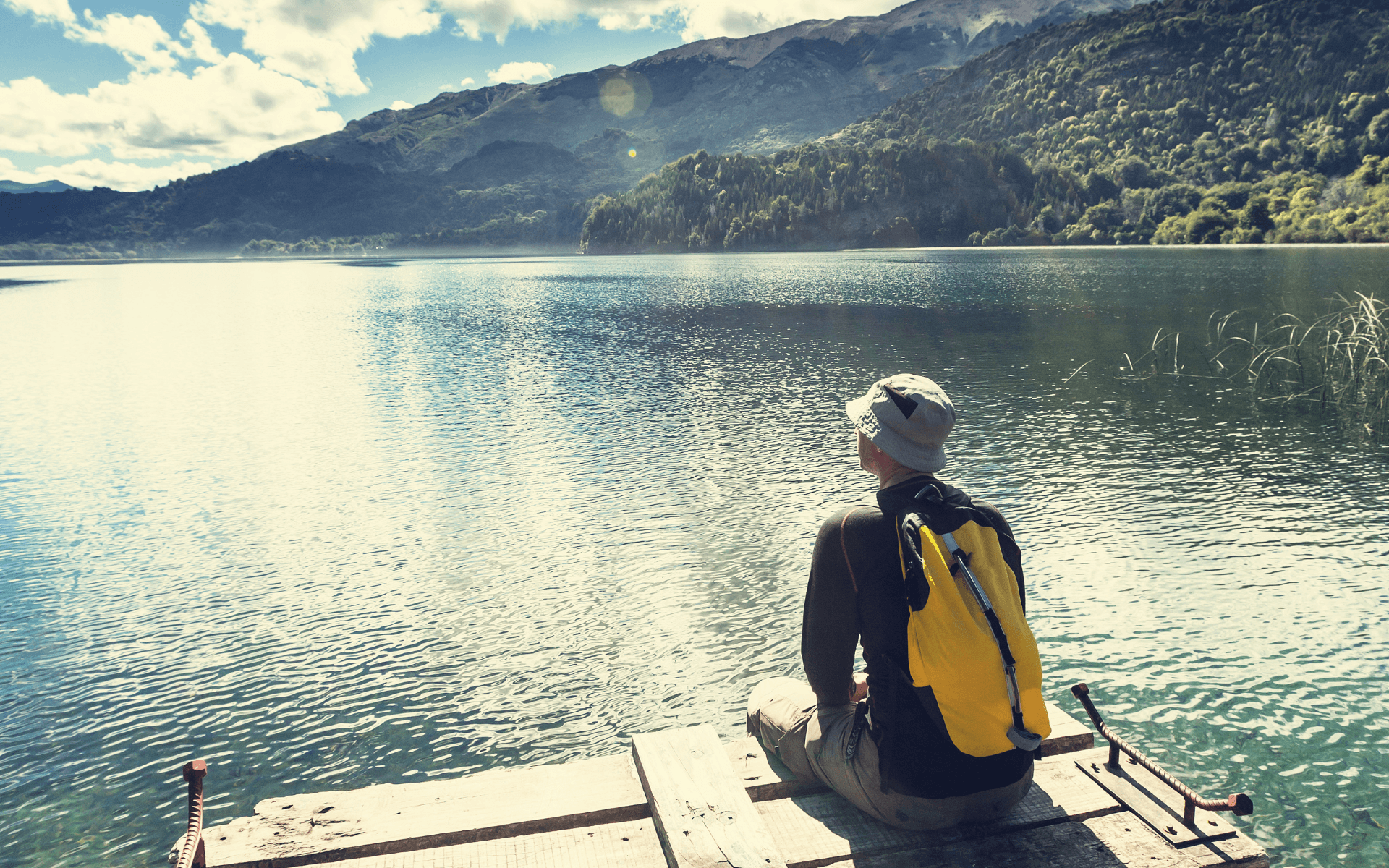 Business Advisor - Dominic Moran PhD | Advantage Business NZ